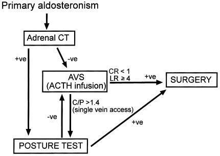 Proposed Algorithm For Preoperative Testing In Patients With Proven PA