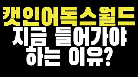 캣인어독스월드 코인전망 캣인어독스월드 지금 들어가야 하는 이유 이거 놓치면 진짜 후회함 캣인어독스월드목표가 캣인어독스월드반등 Mew Youtube