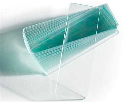Beveled Edge Slides Slides And Coverglass