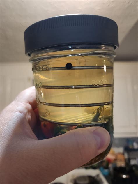 First Time Trying Fermentation R Pickling