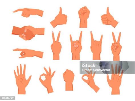 벡터 손 제스처 집합입니다 비 구두 손바닥 기호 움켜쥐거나 제기 된 주먹 손가락 가리키는 또는 터치 엄지 손가락 악수 뿔이나 바위의 기호 하이 파이브 승리 또는 평화 좋아