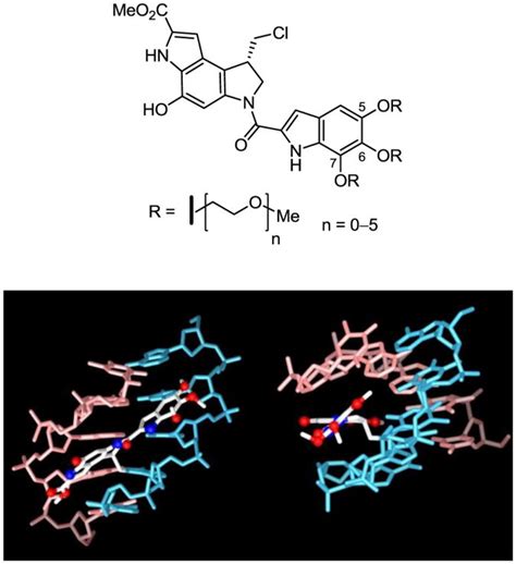 A Fundamental Relationship Between Hydrophobic Properties And Biological Activity For The