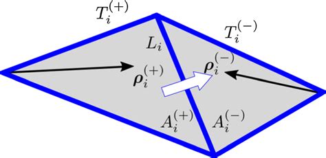 Raowiltonglisson Rwg Basis Function Download Scientific Diagram