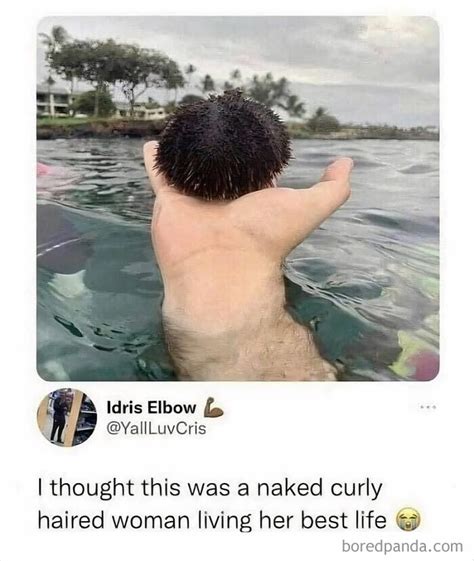 People That Deserve An Award For Their Witty And Unhinged Online Comments New Pics