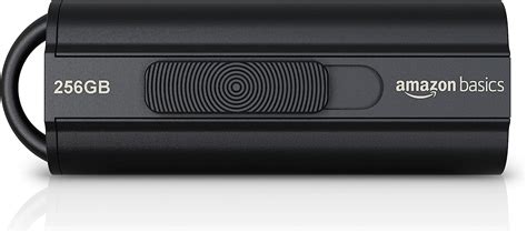 AmazonBasics 256GB Ultra Fast USB 3.1 Flash Drive : Amazon.ca: Electronics