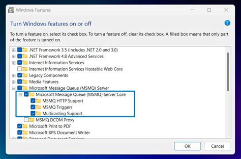 enable microsoft message queue server core in windows 11