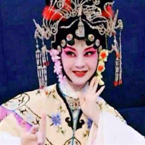豫剧狸猫换太子全场戏戏曲大全豫剧全场戏豫剧现代戏全场戏第9页大山谷图库