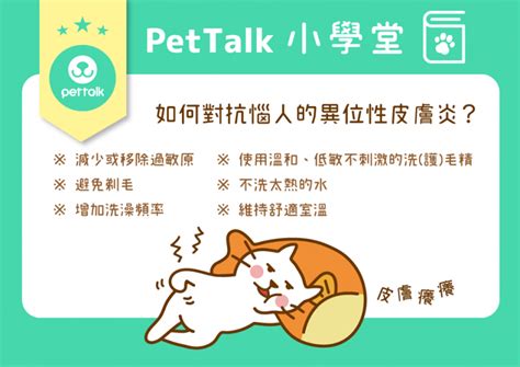 【pettalk小學堂】如何對抗惱人的異位性皮膚炎 Pettalk：說寵物