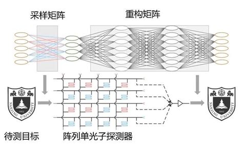 南京大学超导电子学研究所实现阵列超导单光子探测器压缩感知高保真读出 知乎