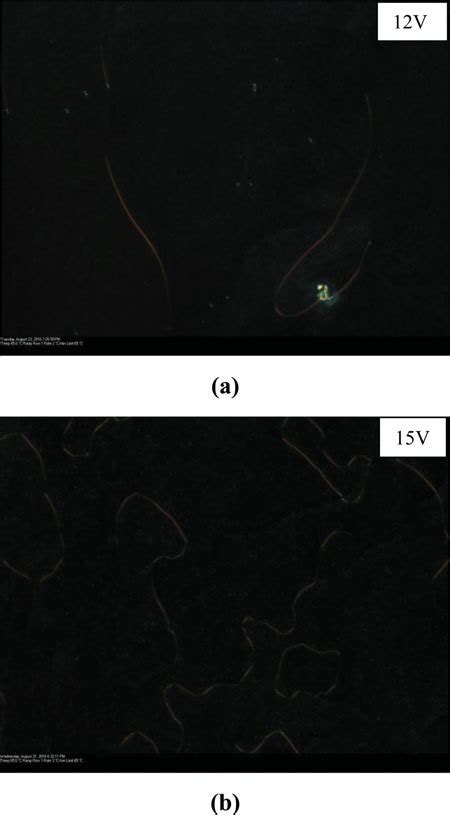Figure Effect Of Applied Voltage Frequency Khz Square Wave For
