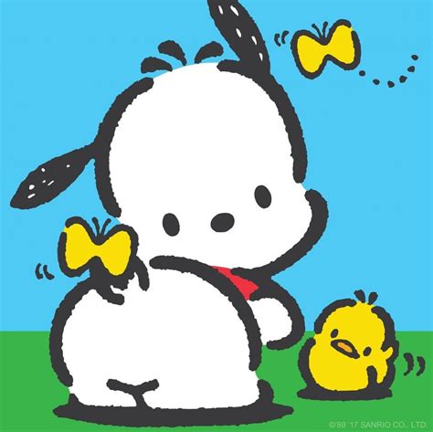 6 144 Likes 57 Comments Sanrio Sanrio On Instagram “ Pochacco Is
