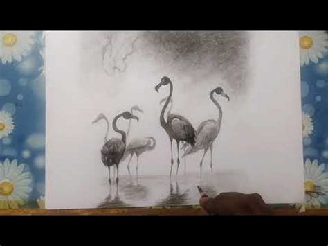 Flamingo Pencil Drawing Realistic Pencil Drawing Birds Drawing