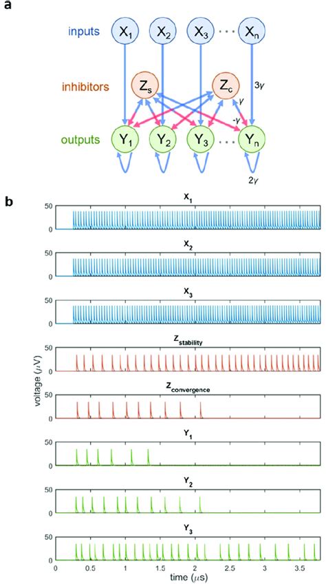 A Schematic Of A Two Inhibitor Wta Network Synaptic Weights Are Download Scientific Diagram