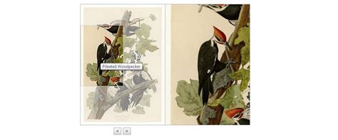 12 Best Free Javascript Image Magnification Plugins Onextrapixel