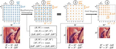 2 Illustration Of Downsampling Top Row Subsampling And Grid Mapping Download Scientific