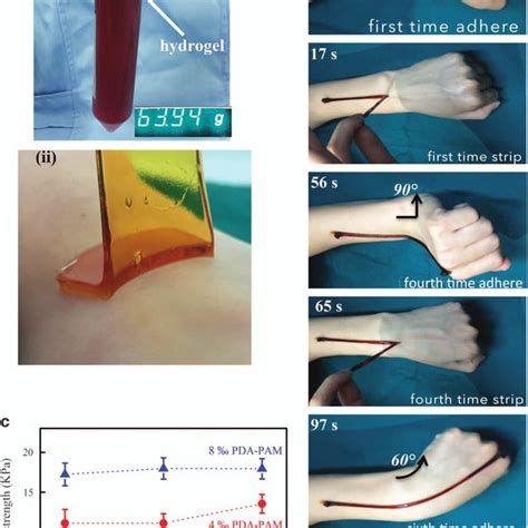 Tissue Adhesiveness Of The Polydopamine Polyacrylamide Pda Pam