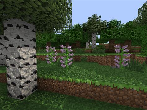 How To Install Bump Mapping Minecraft Textures Olporbella