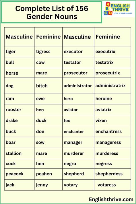156 Gender Nouns Examples Complete Guide