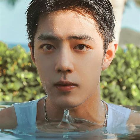 肖战s Xiao Fei Xia Indonesia 🇮🇩 On Instagram Mau Pingsan Ga Sih Liat Updatean Iniii