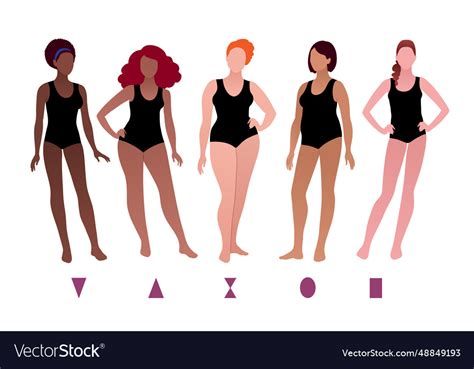 Body Positive Female Body Types Royalty Free Vector Image