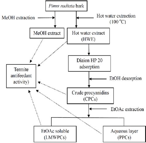 Solvent Extraction And Separation Scheme Of Different Molecular