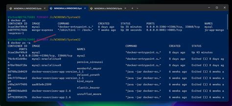 docker ps command explained with examples cloudspress