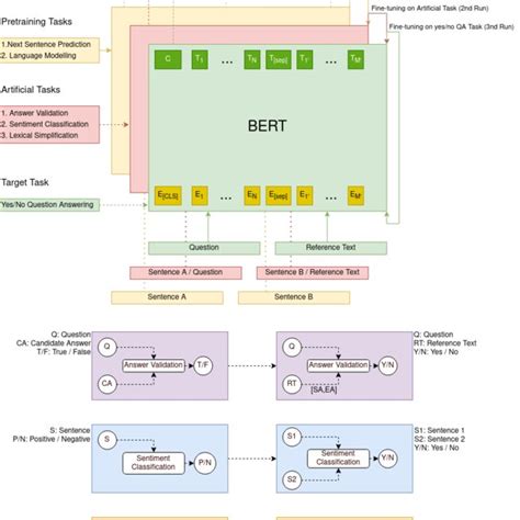 visualizing 1 the fine tuning process on a pre trained bert model download scientific diagram