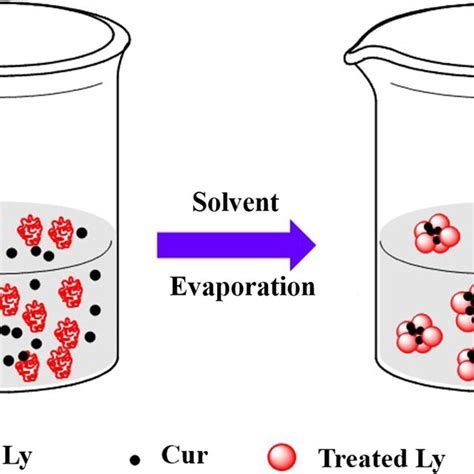 tentative encapsulation scheme of cur based on ly nps download scientific diagram