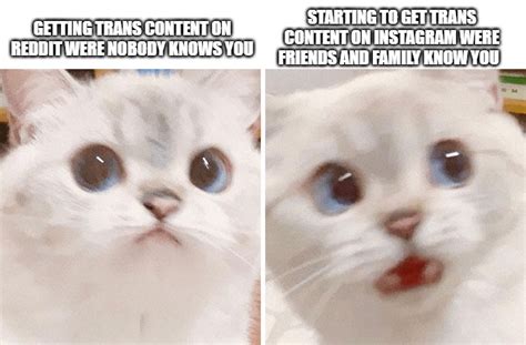 The Algorithm Gods Know To Much Rtraaaaaaannnnnnnnnns