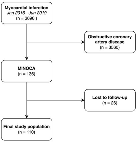 Clinical Characteristics Predicting Worse Long Term Outcomes In Patients With Myocardial