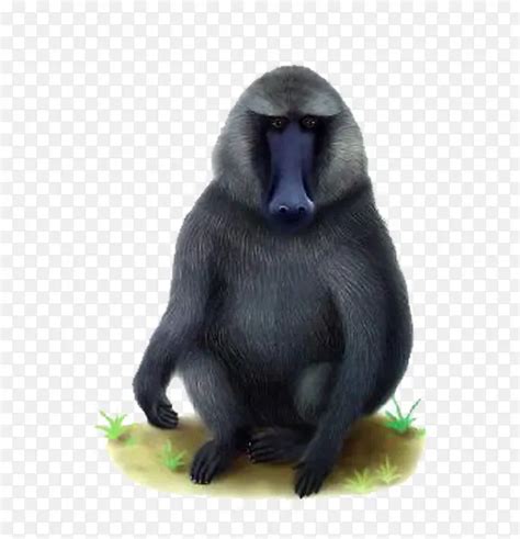 Png Png