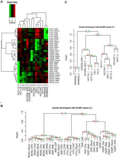 A The Heatmap Was Constructed Using The Log Transformed Ratios Of The Download Scientific