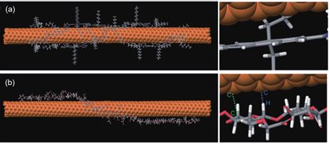 Optimized Model Structures Showing Top And Side Views Of 6 5 Swnts Download Scientific