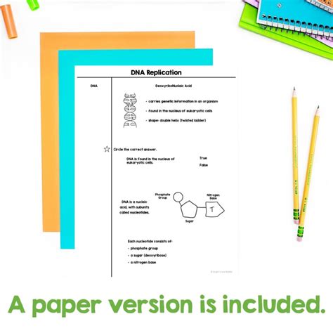 DNA Structure And DNA Replication Interactive Lesson Bright In The Middle