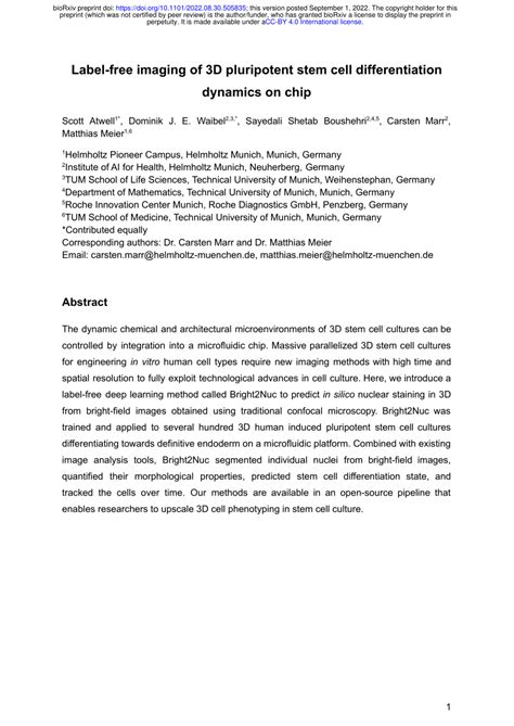 Pdf Label Free Imaging Of 3d Pluripotent Stem Cell Differentiation