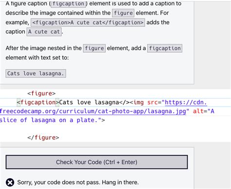 Figcaption Element Html Css Image And Caption Height 100