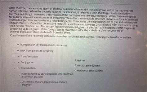 Solved Vibrio Cholerae The Causative Agent Of Cholera Is
