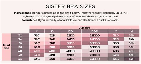 Bra Cup Size Chart Inches