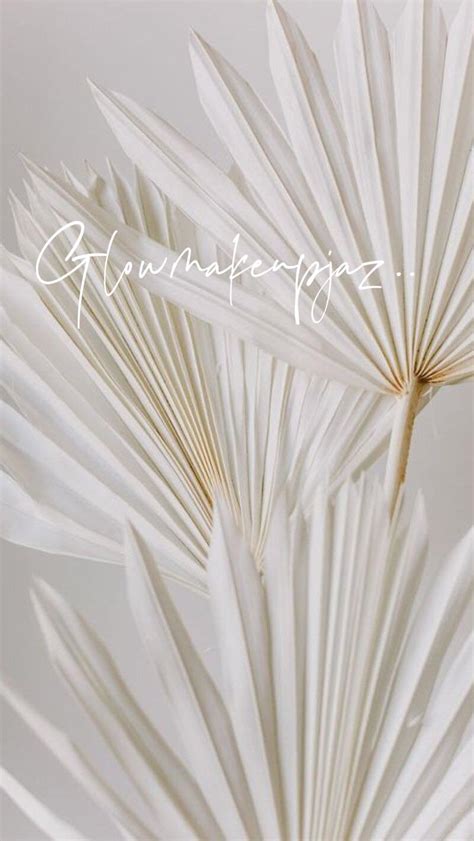 Bibba Bibba Added A New Photo