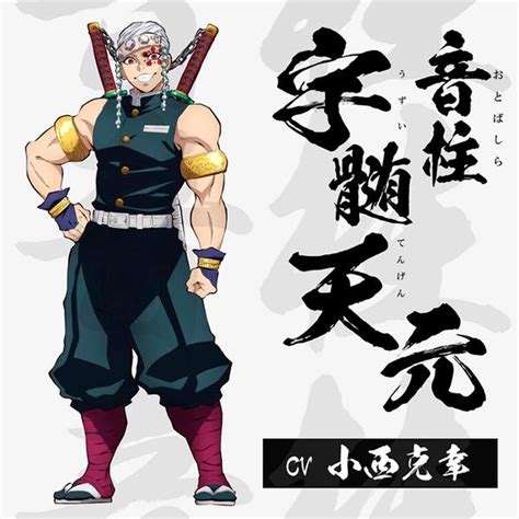 Todos Os Hashiras De Demon Slayer Kimetsu No Yaiba Anime Demon