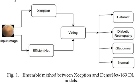 Figure 1 From Pre Trained Deep Learning Based Approaches For Eye Disease Detection Semantic
