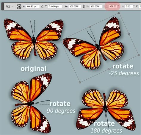 Rotate In Photoshop Basic Tutorial