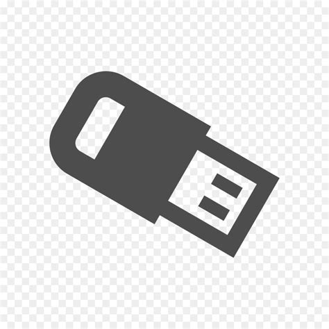 Flash Memory Logo