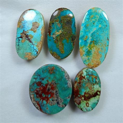 Jual Natural Pirus Persia F4 Shopee Indonesia