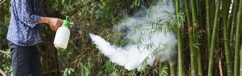 Permethrin Vs Pyrethrin Key Differences Safety And Uses Explained