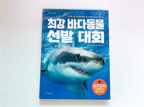 최강 바다 동물 선발 대회