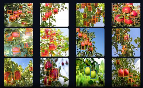 Top 4 Computer Vision Problems And Solutions In Agriculture — Part 1 Edge Ai And Vision Alliance