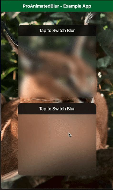 Proanimatedblur Flutter Package In Animation And Transition Category