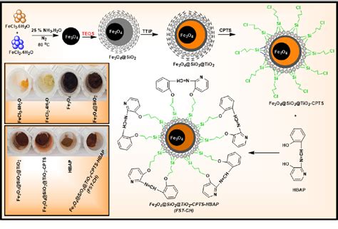 Figure 1 From Fabrication And Characterization Of New Fe3o4 Sio2 Tio2 Cpts Hbap Fst Ch