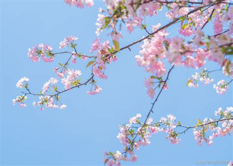 【kingscada】html视图控件kingscada加载不了html Csdn博客